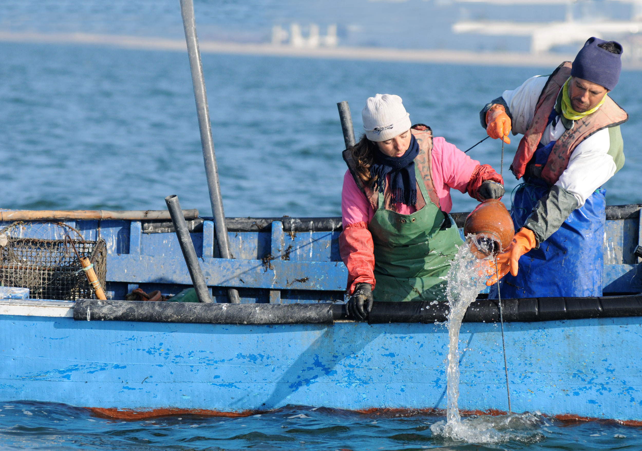 Ocean Alive | Boosting Blue Forests Education & Capacity Building ...