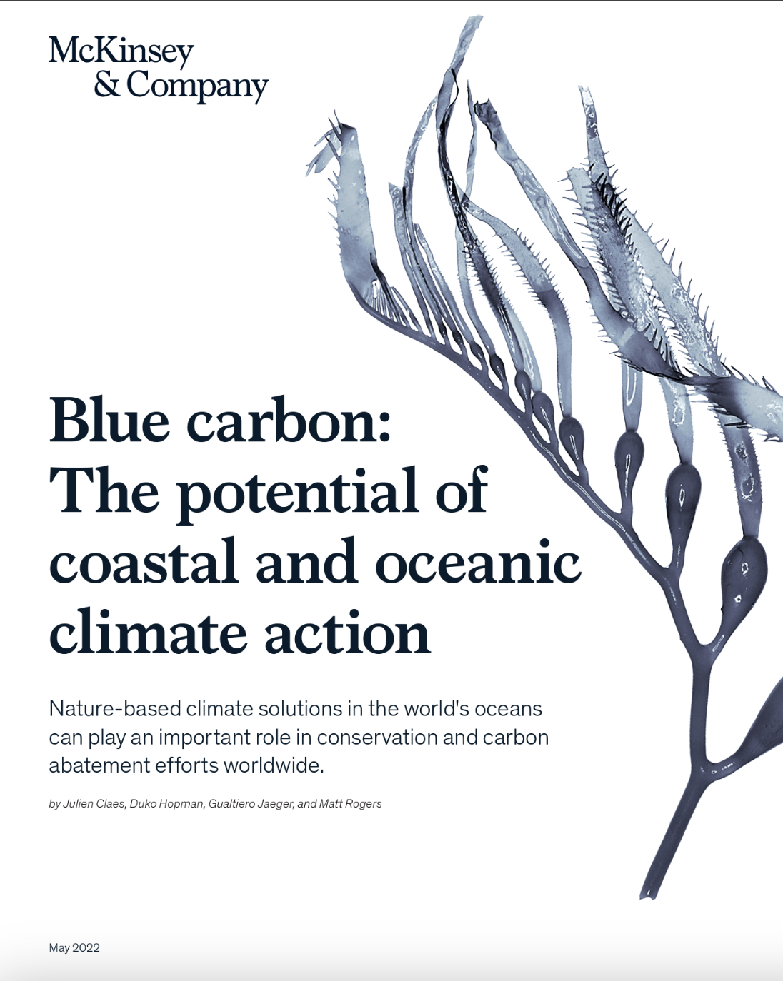 Blue Carbon: The potential of coastal and oceanic climate action ...