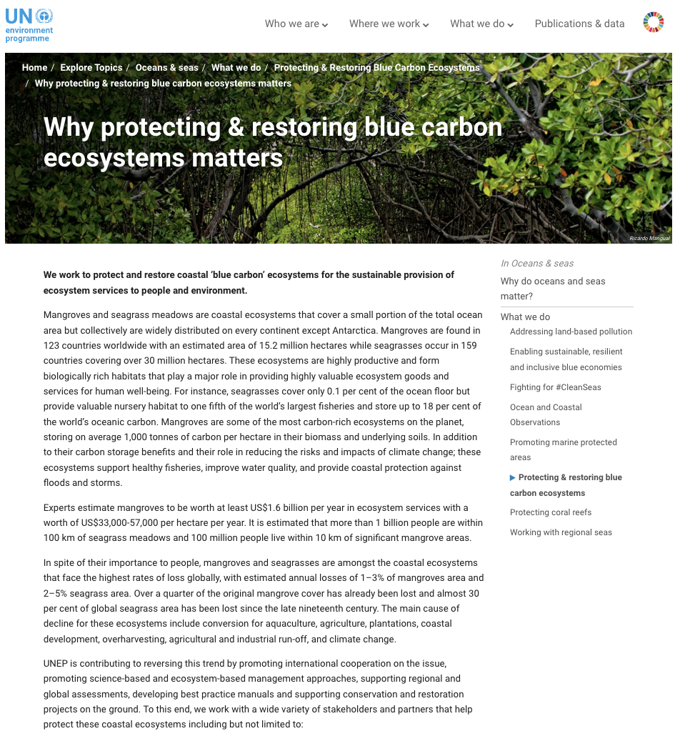 Why Protecting & Restoring Blue Carbon Ecosystems Matters | Boosting Blue Forests Education ...